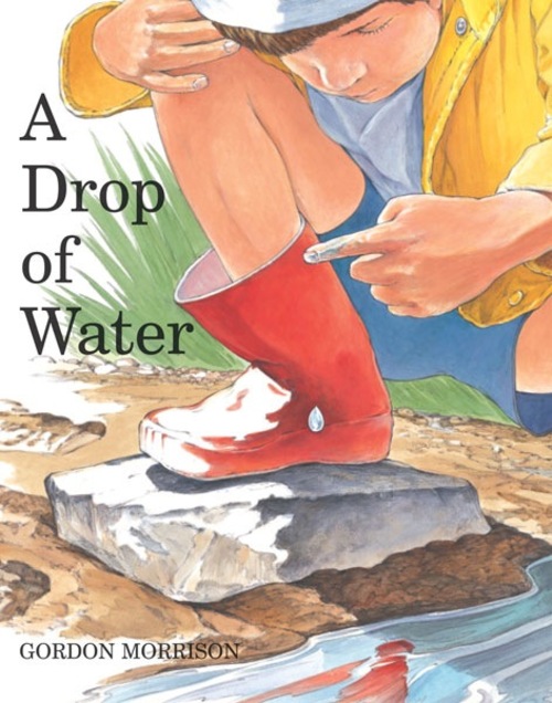 A Drop of Water | Beanstack Parent Recommended Kids Books
