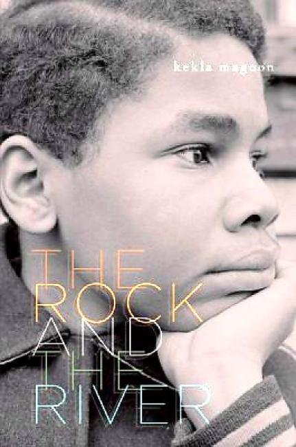 The Rock and the River | Beanstack Parent Recommended Kids Books