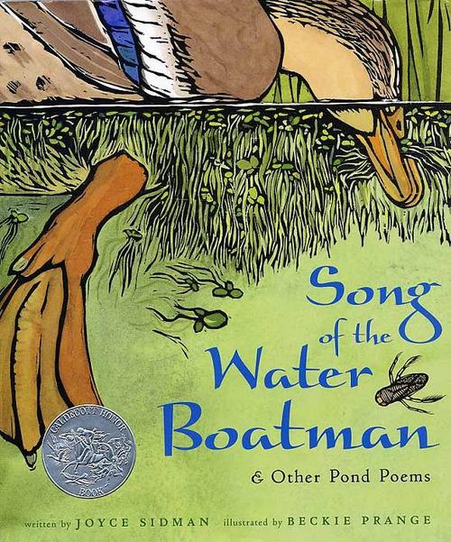 Song of the water boatman : & other pond poems | Beanstack Parent ...