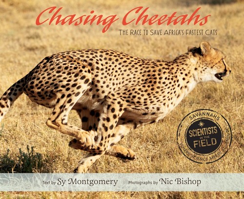 Chasing Cheetahs | Beanstack Parent Recommended Kids Books