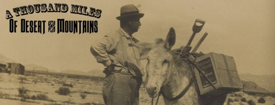 Beanstack: Reading Challenges and Personalized Recommendations